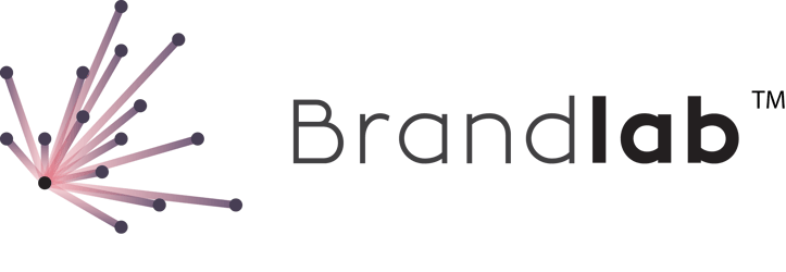 Decision Lab - Brand Lab